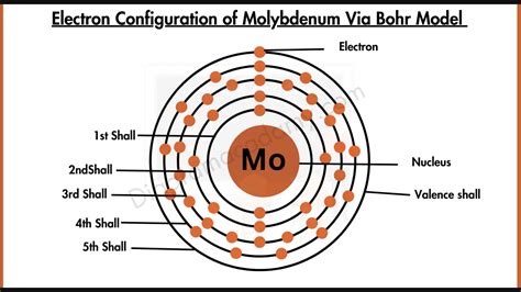 Polarization Diagram With Labels