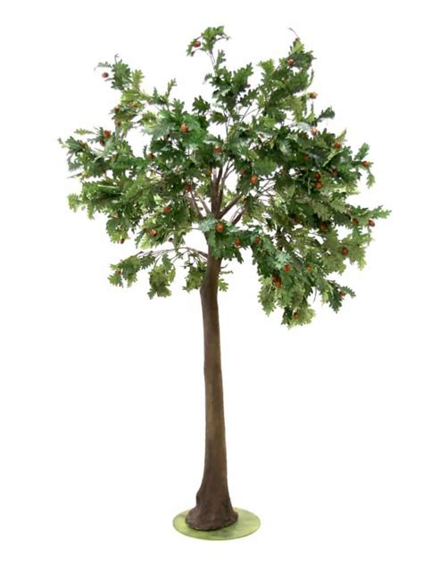 Medium Trunk Tree 27m Green Oak Eph Creative Event Prop Hire