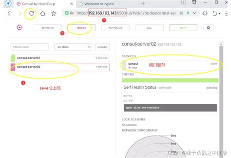 docker consul集群 csdn博客
