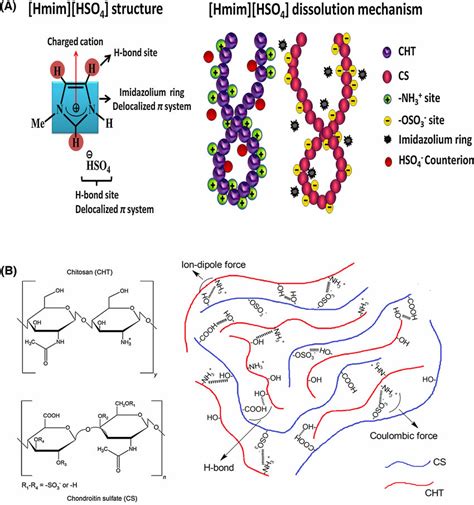 A [hmim Hso4] Structure And Its Solvation Capacity Over The Download Scientific Diagram