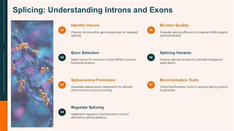 Splicing Understanding Introns And Exons Mrna Processing Ppt Guidelines Acp Ppt Slide