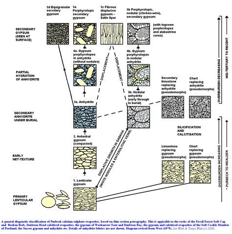Diagenese Wood Scribd Braxin
