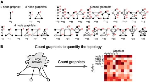 IncGraph Incremental Graphlet Counting For Topology Optimisation Robrecht Cannoodt