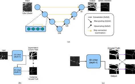 Figure 1 From Axon Tracing And Centerline Detection Using Topologically