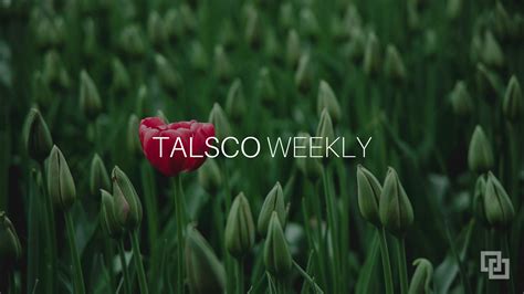 Talsco Weekly Tech Refresh Unveiled And Api Modernization Trends Ibm