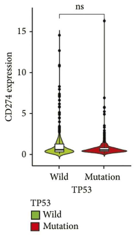 Exploratory Results Of Mutation A And B An Overview Of The Download Scientific Diagram