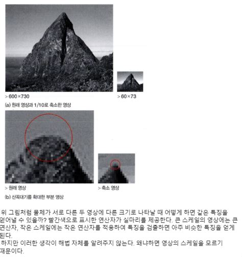 15 스케일에 불변한 특징점 검출