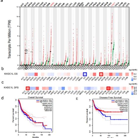 Transcriptome Sequencing Analysis On Downstream Signals Of Khdc1l A