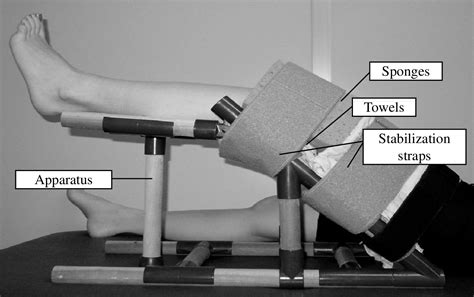 Figure 1 From Analysis Of Tibial Rotation Using Magnetic Resonance Imaging Semantic Scholar