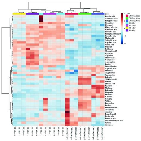 Heatmap Representing Differences In Relative Metabolite Concentrations Download Scientific
