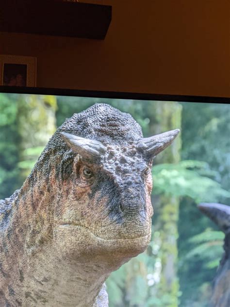 Has Anyone Noticed Weird Colors And Borders On Hdr10 Content See Attached Pictures It Happens