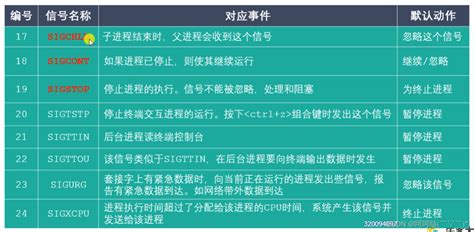 基于linux下的高并发服务器开发（第二章） 219 Csdn博客