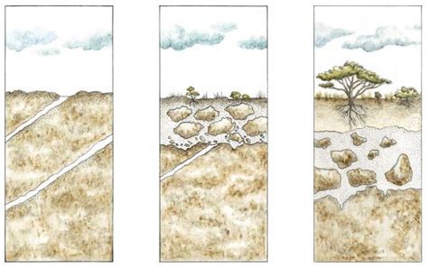 Soil Types Atlas Of Namibia