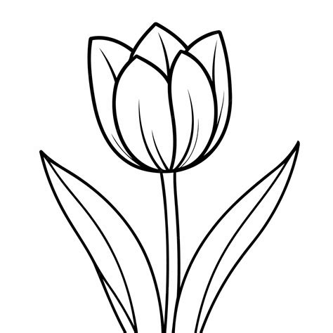 Premium Vector Simple Vector Illustration Of Tulip Outline For