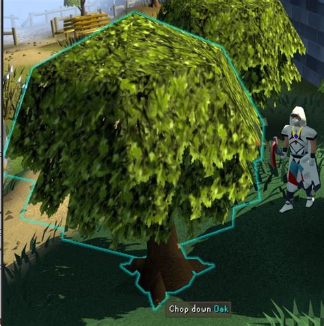 The Best Place To Cut Oak Trees In Osrs Diamondlobby