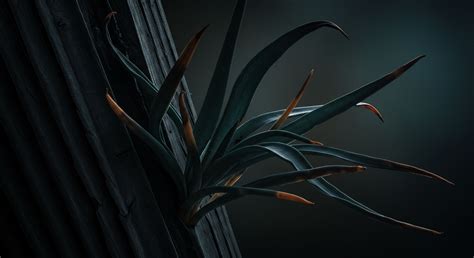 Biodiversity Assessment Methods → Fundamentals