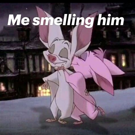 Me Smelling Him Bartok The Bat Vintage Cartoon Cartoon Pics