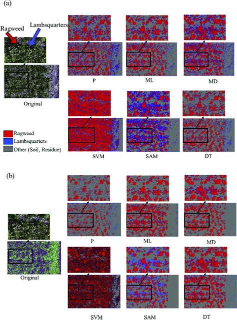 E Comparison Of A Pbia And B Obia Classification Algorithms In