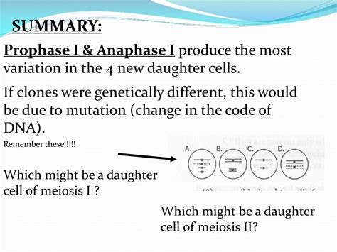 Ppt Cell Unit Iii Cell Division Cell Cycle Transcription And Translation Powerpoint
