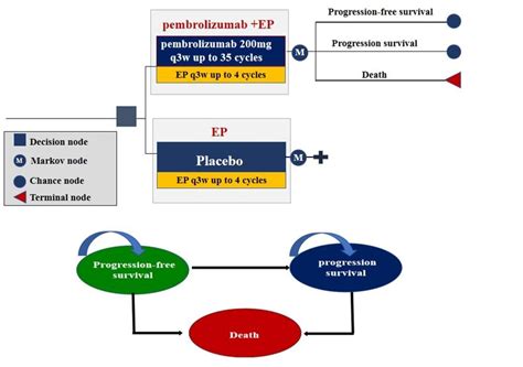 markov model simulating outcomes for the patients with es sclc in