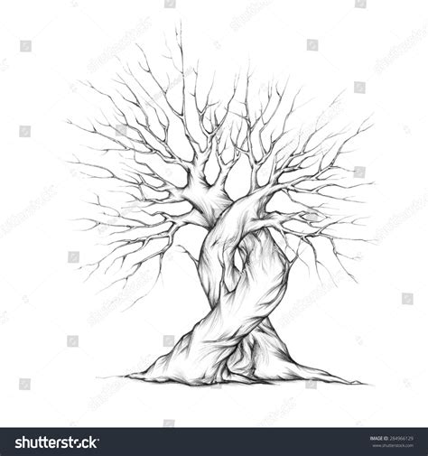 Entwined Tree Stock Illustrations Images Vectors Shutterstock