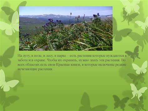 Луговые растения занесённые в книгу Вологодской области презентация онлайн