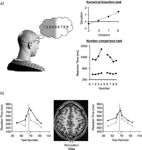 2 Hemispheric Effects In Numerical Spatial Interactions A Neglect