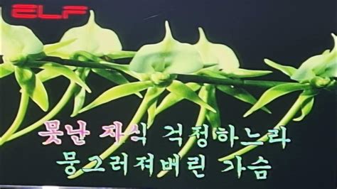 엄마꽃안성훈 Youtube