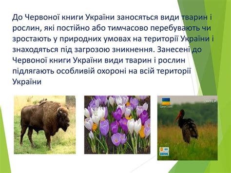 До Червоної книги України заносяться види тварин і рослин які постійно або тимчасово