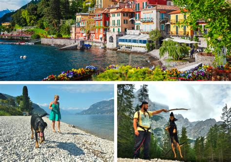 Road trip en Italie avec un chien : mode d'emploi