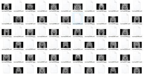 A Raw Data Corresponds To A Json Annotation File Download Scientific