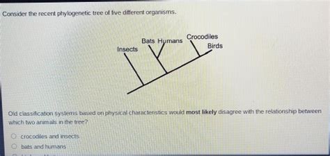 Solved Consider The Recent Phylogenetic Tree Of Five Different