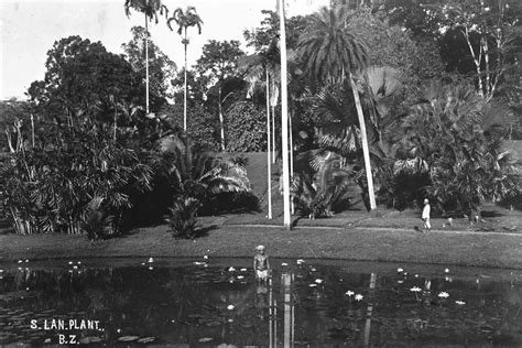 Willem Cornelis Van Heurn 1887 1972 Mijn Gelderland