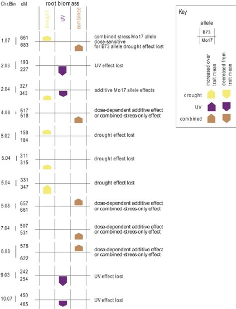 Allele Effects Of Loci Important For Root Biomass Loci With Signi Fi