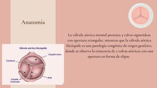 Aorta Bivalva Pdf