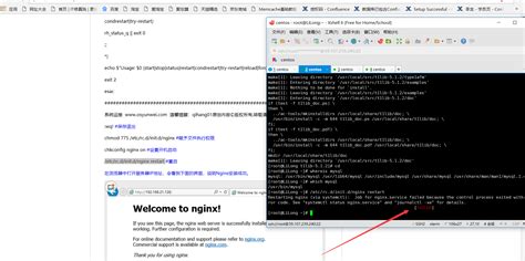 nginx 重启 失败