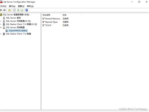 Sql Server 2019配置管理器无法连接到 Wmi 提供程序sql配置管理器无法连接到wmi Csdn博客