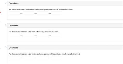 Solved Put These Terms In The Correct Order In The Pathway Chegg Com