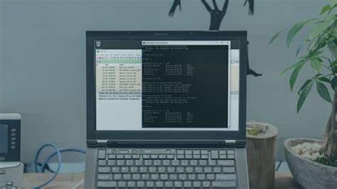 Network Protocol Deep Dives Path Softarchive