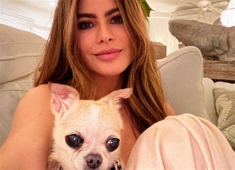 50 летняя София Вергара опубликовала фото в бикини Hello Russia