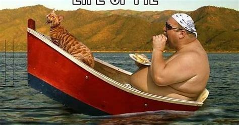 American Life Of Pi Imgur
