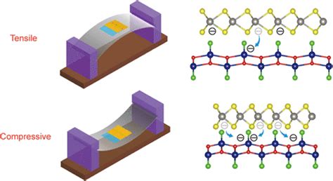 Tunable Van Der Waals Doping In Ws2crocl Heterostructure By Interlayer Coupling Engineering