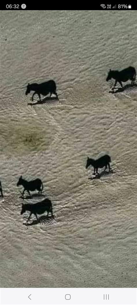 Bit Cafe Fun For My 1st Visit — Versus Arthritis