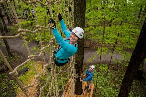 Plan Your Group Event Zip Climb And Explore At Treetop Trekking