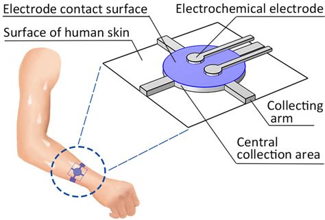 Schematic Diagram Of A Paper Based Microfluidic Chip For Sweat Analysis Download Scientific