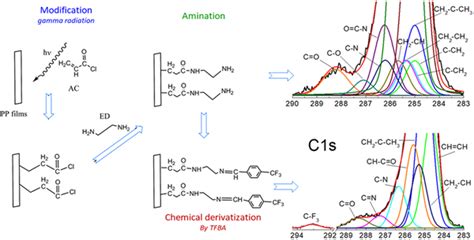Amine Modifications Of Polypropylene Films By Gamma Radiation To Be