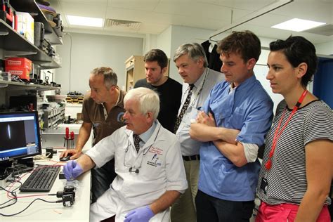 New Device Detects Untreated Bacteria In Root Canal Treatments