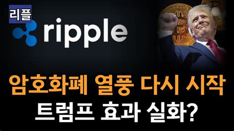 리플xrp 암호화폐 열풍 다시 시작 트럼프 효과 실화 Youtube