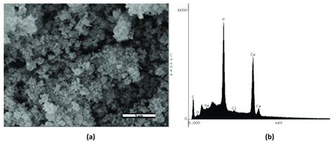 Morphological And Chemical Characterization Of The Synthesized