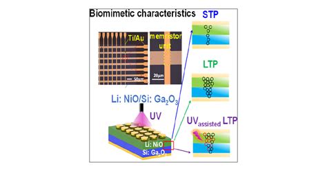 Ga2o3 Bipolar Heterojunction Based Optoelectronic Synapse Array With